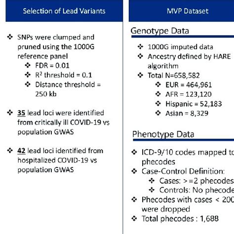 Overview Of Variant Selection And Phewas Analysis Design Download