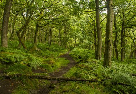 Walking Over Owler Tor Walks Over Owler Tor Peak District Walks