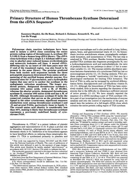 Pdf Primary Structure Of Human Thromboxane Synthase Determined From