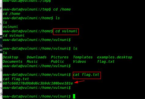 Vulnuni 101 Walkthrough Vulnhub Vulnuni 1 Vulnhub Writeup