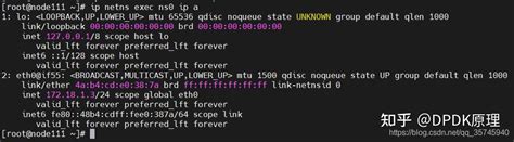 Vlan与vxlan网络原理与实践 知乎