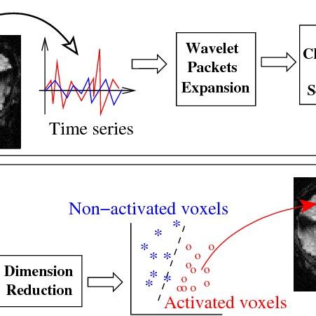 Principle Of The Analysis Of The FMRI Time Series Sx T Download