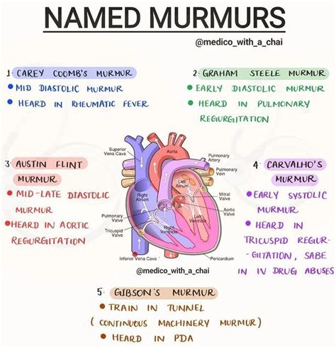 Medico With A Chai On Instagram Named Murmurs 🫀 Mbbs Medico Notes Digital Heart