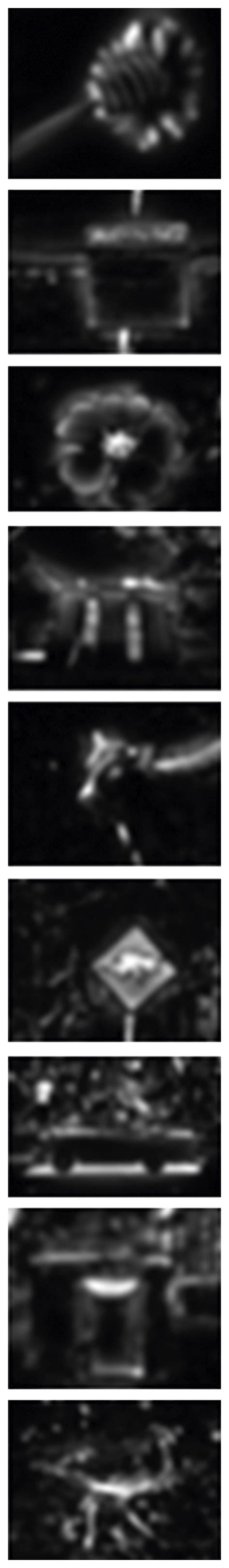 comparison results of image segmentation download scientific diagram