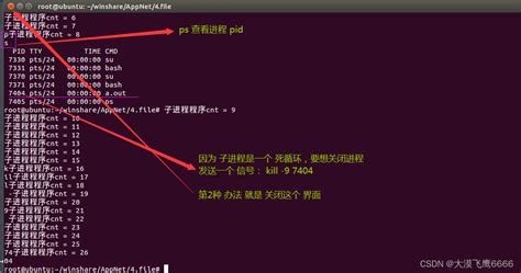 exec族函数及实战 execv 实例 CSDN博客