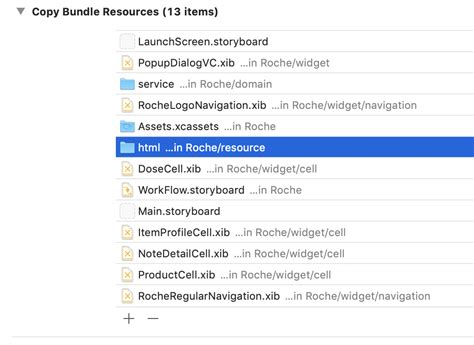 ios how to access file included in app bundle in swift stack overflow