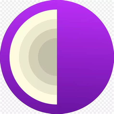 计算机图标，可伸缩图形，计算机文件，torbrowserpng图片素材下载图片编号6549480 Png素材网