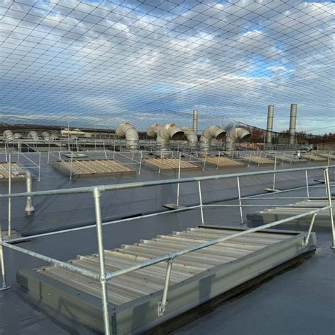 Bird Netting Installation UK Wide Bird Proofing Invicta Environmental