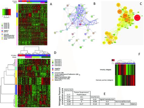 gene selection process a heatmap showing the 616 most variable genes download scientific