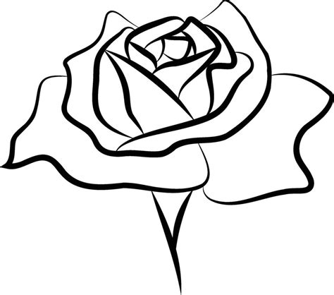 Rose Flower Drawing Clip Art 50447444 Vector Art At Vecteezy