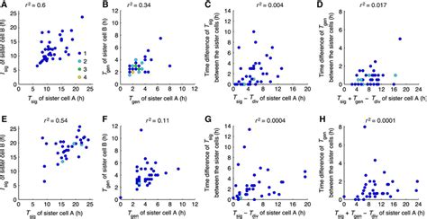 Temporal Variability Of Signalling Events In Sister Cells Reveals Download Scientific Diagram