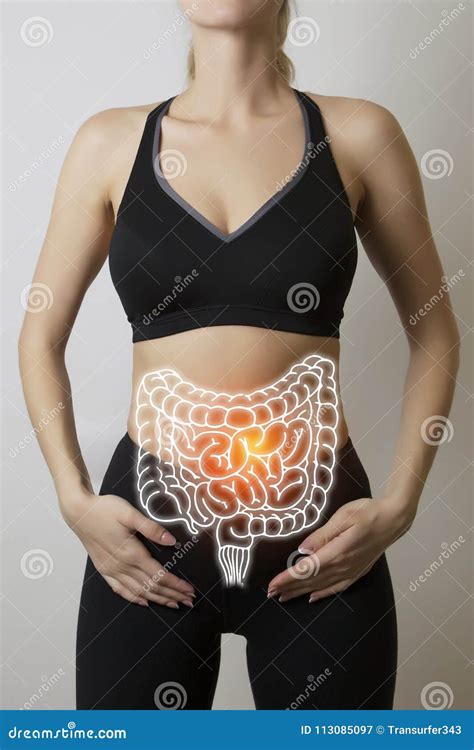 Intestines Visualisation On Woman Body Closeup Stock Image Image Of Model Analysis