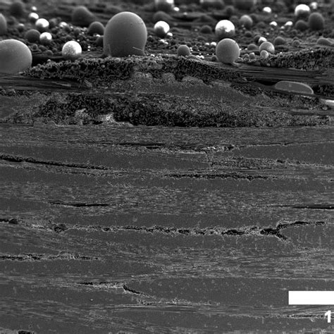 Pdf Ablation Properties Of C Fibers And Sic Fibers Reinforced Glass