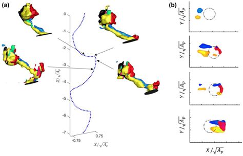 A Reconstructed Trajectory Section Of A Disk Describing ‘planar