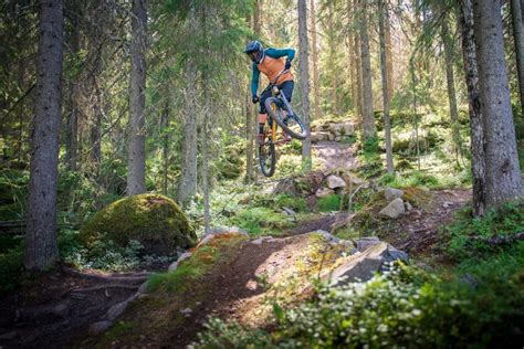 Pole Vikkelä Travel 190 Mm Sospensioni Sensei Disponibile Da