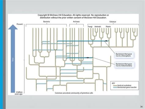 Presentation Taxonomy Systematics Pptx Ppt