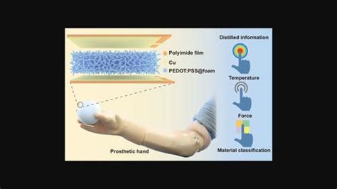用于智能假肢的机器学习辅助多功能触觉传感器 Infomat X Mol