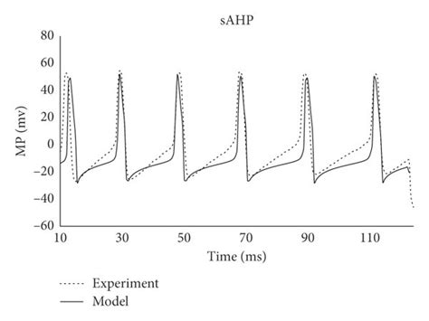 Model Generalization To Test The Optimized Model We Compared The Download Scientific Diagram