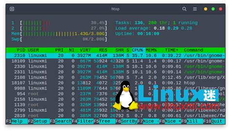 如何在 Linux 上安装和使用图形监控工具 Gtop Linux迷