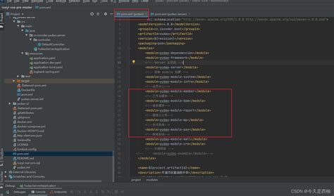 芋道源码 ruoyi vue pro 模块开启 芋道源码 开启crm模块 csdn博客