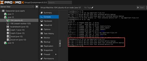 Veeam File Level Restore With Proxmox