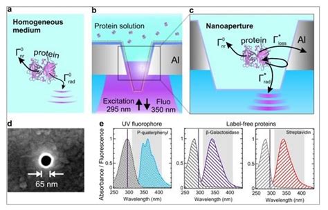 Aluminum Zero Mode Waveguides Zmws To Enhance The Radiative Rate Download Scientific Diagram