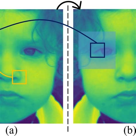 Illustration Of The Self Assembly Operation A Feature Map In The