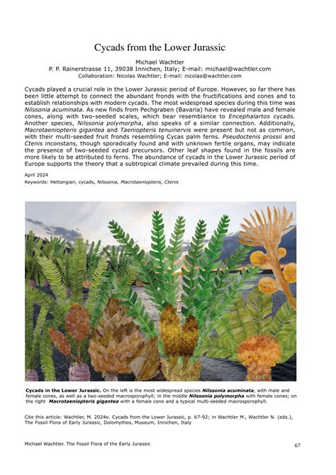 Pdf Cycads From The Lower Jurassic