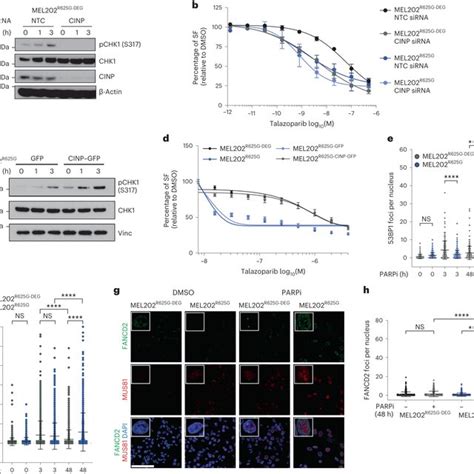 Systematic Analysis Of Different Choices Of The Parameters Gap Penalty