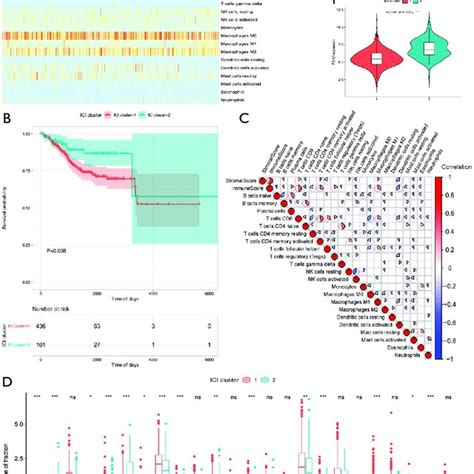 Identification Of The Different Tumor Infiltrating Immune Cells