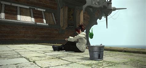 How To Get The Magic Bucket Minion Ffxiv Guide Fandomspot