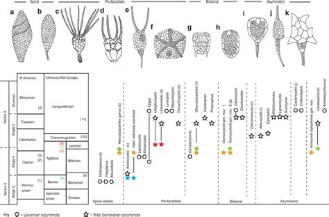 Stratigraphic Distribution Of Early To Middle Cambrian Download Scientific Diagram