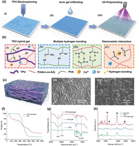 Fabrication And Characterization Of Tpu Hybrid Gel A Schematic