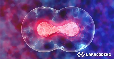 How To Clone A Model In Laravel With Or Without Relations