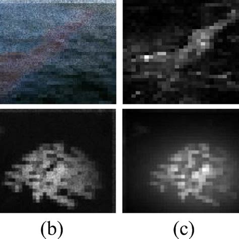 examples of the proposed saliency detection method a input image b