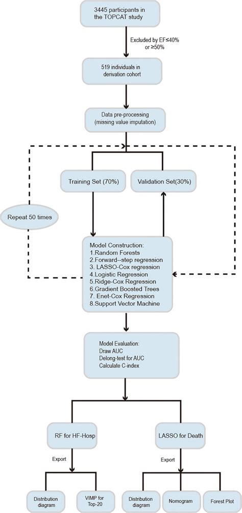 Frontiers | Machine learning models in heart failure with mildly reduced ejection fraction patients