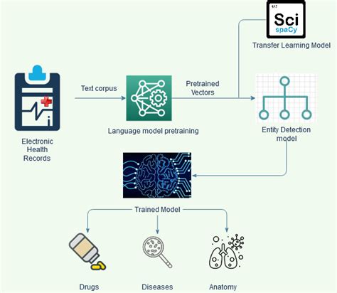 Medical Term Extraction From Electronic Health Records Ehr By Sandipan Roy Algoanalytics
