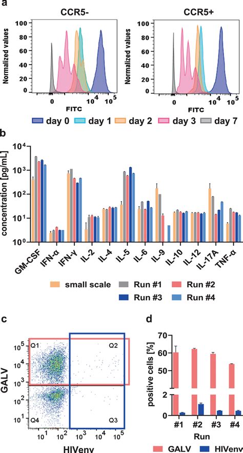 Proliferation Capacity Cytokine Secretion And Viral Susceptibility Of