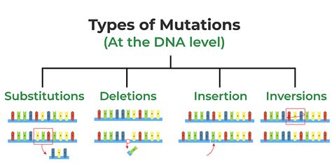 Sex Determination And Mutation Biology Class 12 Neet Pdf Download