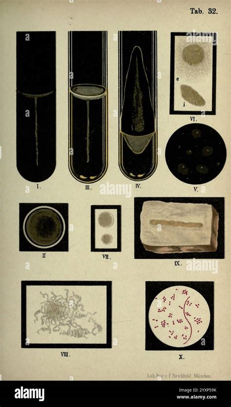 Atlas And Essentials Of Bacteriology New York William Wood And Co 1897