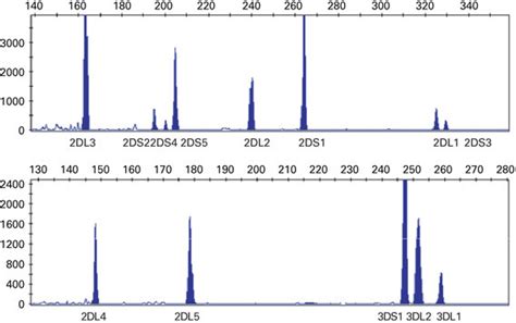 Electropherogram Of Killer Cell Ig Like Receptor Kir Rnatypes In Two