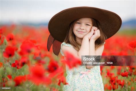 여름에 야외에서 붉은 피는 양귀비 사이에서 산밭에서 혼자 포즈를 취하는 갈색 밀짚 모자를 쓴 귀여운 소녀 56 세 4 5세에 대한 스톡 사진 및 기타 이미지 Istock