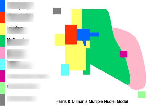 Multiple Nuclei Model Diagram Diagram Quizlet