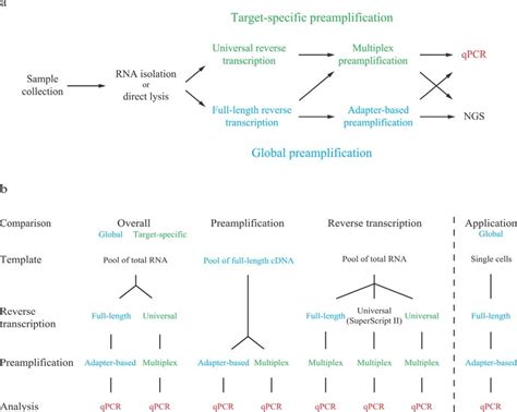 Preamplification Strategies And Experimental Setup A Isolated Rna Or Download Scientific