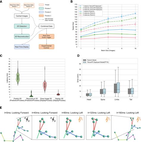 A Real Time Multi Subject Three Dimensional Pose Tracking System For The Behavioral Analysis Of