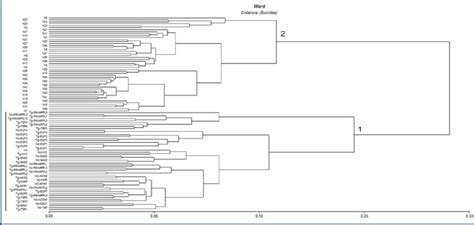 cluster analysis by euclidean distance using the ward method from the