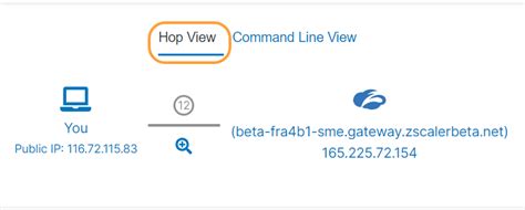 using the zscaler cloud performance test tool zscaler