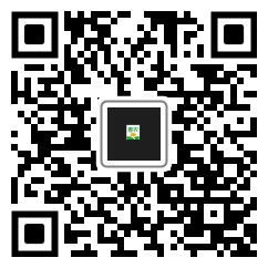 小黄姜批发 云南小黄姜新鲜罗平生姜老姜农家自种黄姜价格22元斤 惠农网