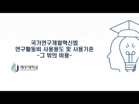 국가연구개발혁신법 연구개발비 사용용도 및 사용기준 그밖의비용