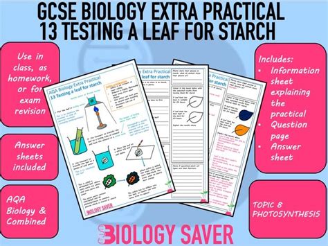 Gcse Biology Practical 13 Testing A Leaf For Starch Teaching Resources